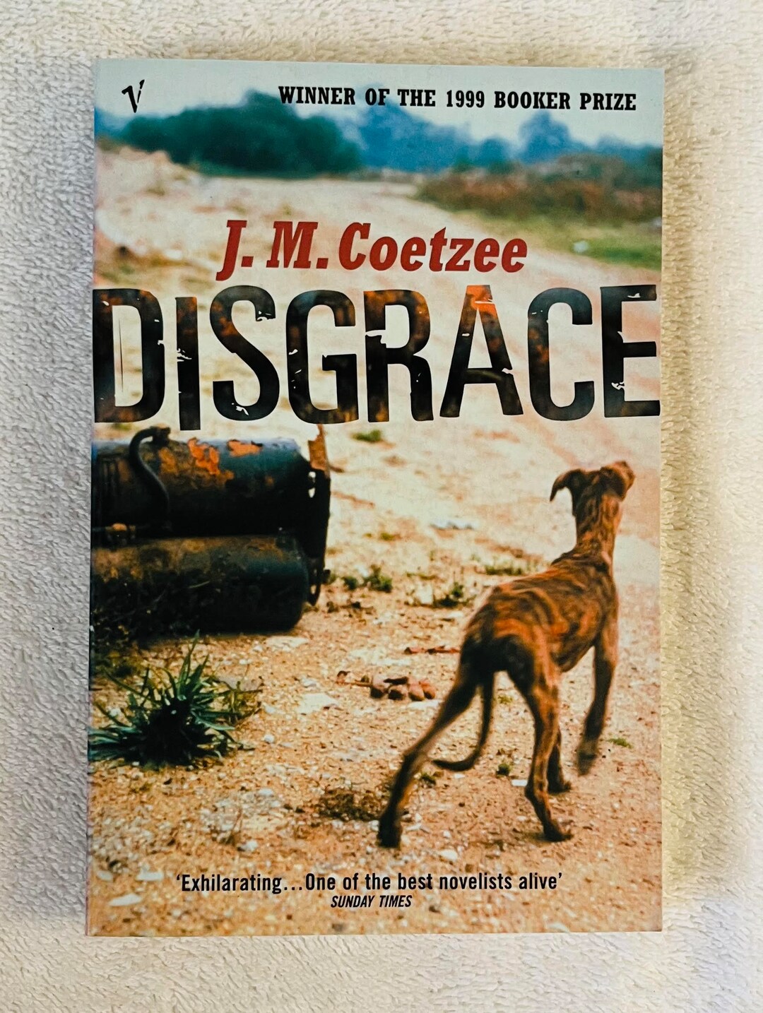 J. M. COETZEE - Disgrace - 2000 Vintage Books Soft Cover - Nobel ...