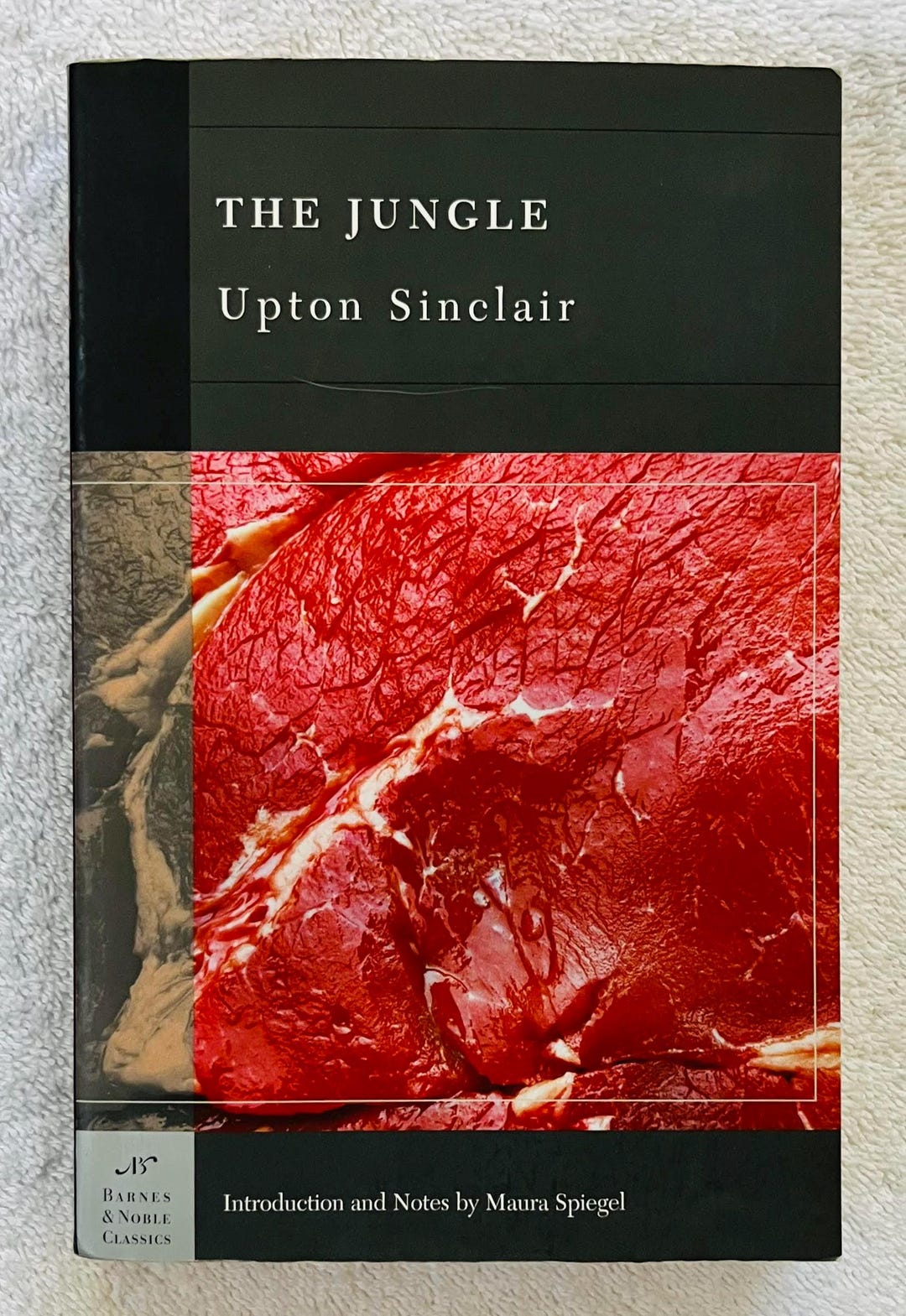 UPTON SINCLAIR - the Jungle - Barnes & Noble Classics Soft Cover ...