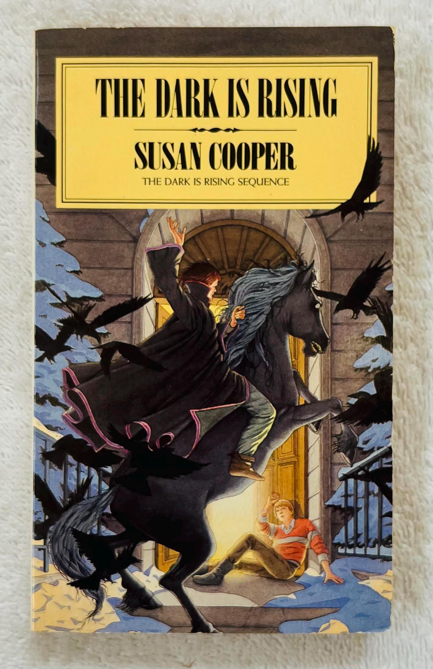 Susan Cooper Ghost Hawk