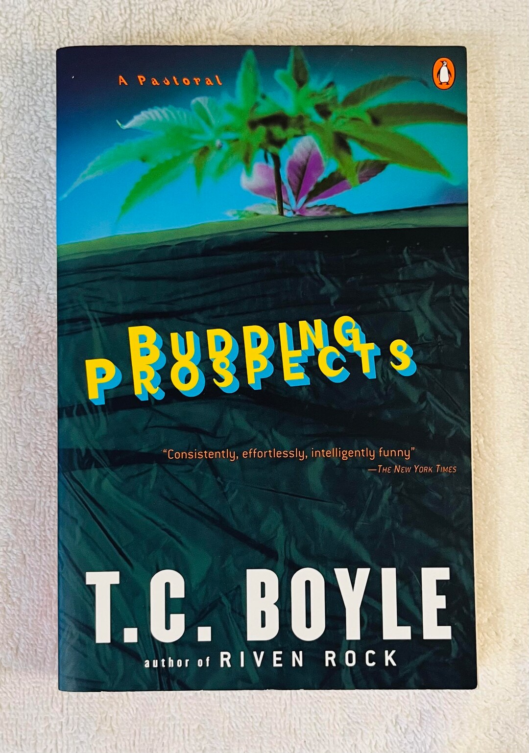 T. CORAGHESSAN BOYLE Budding Prospects 1985 Penguin Soft Cover - Etsy T. CORAGHESSAN BOYLE Budding Prospects 1985 Penguin Soft Cover - Etsy