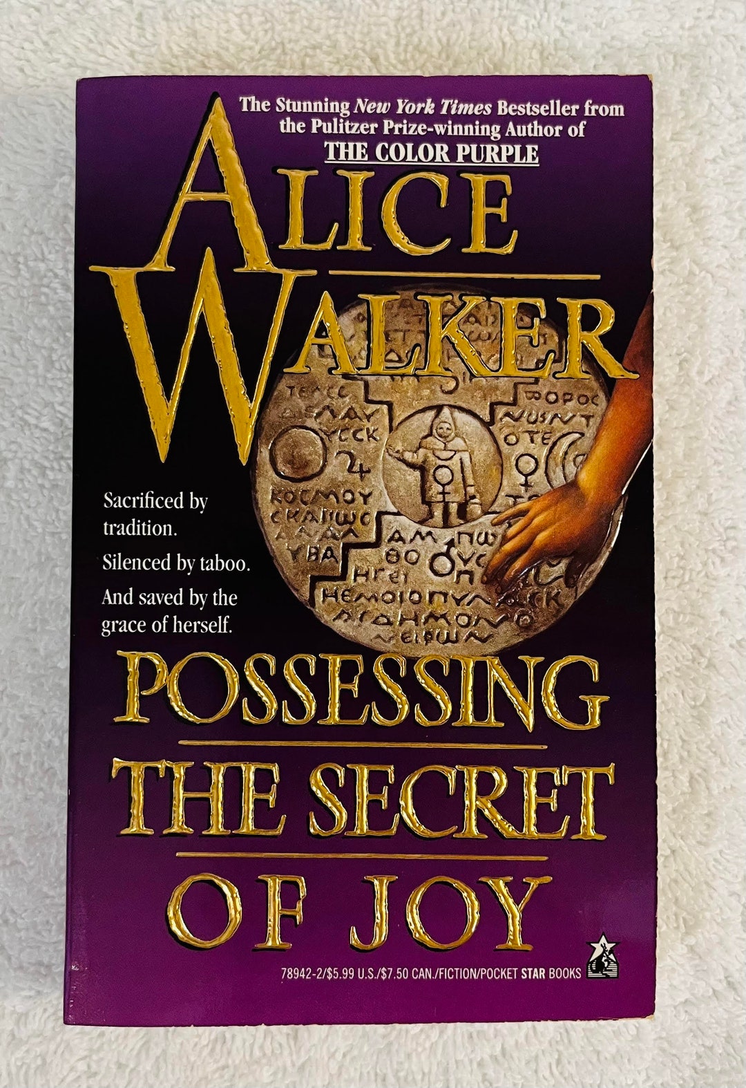 ALICE WALKER - Possessing the Secret of Joy - 1993 First Printing ...