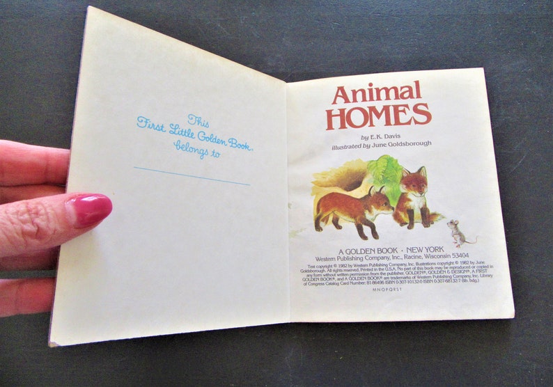 1982 Animal Homes: A First Little Golden Book - Etsy