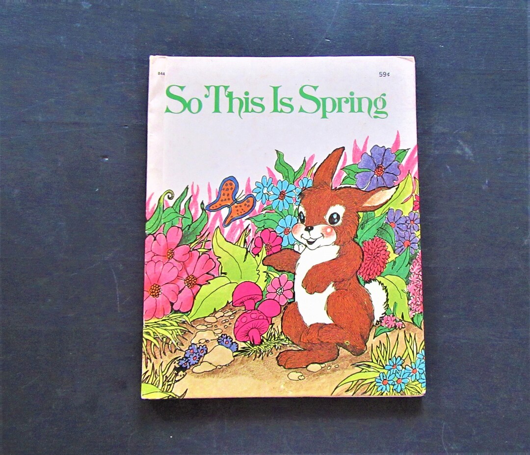 1976 Vintage 'so This is Spring' Children's Book by Jean Fritz - Etsy