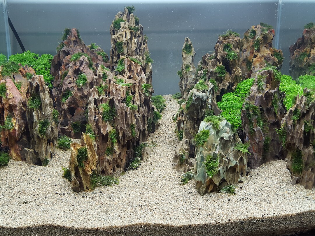 Dragon Stone Ohko Rock Freshwater Mixed Sizes (by the Lb) Aquarium ...