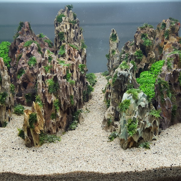 Lava Rock Stone Aquarium - Etsy