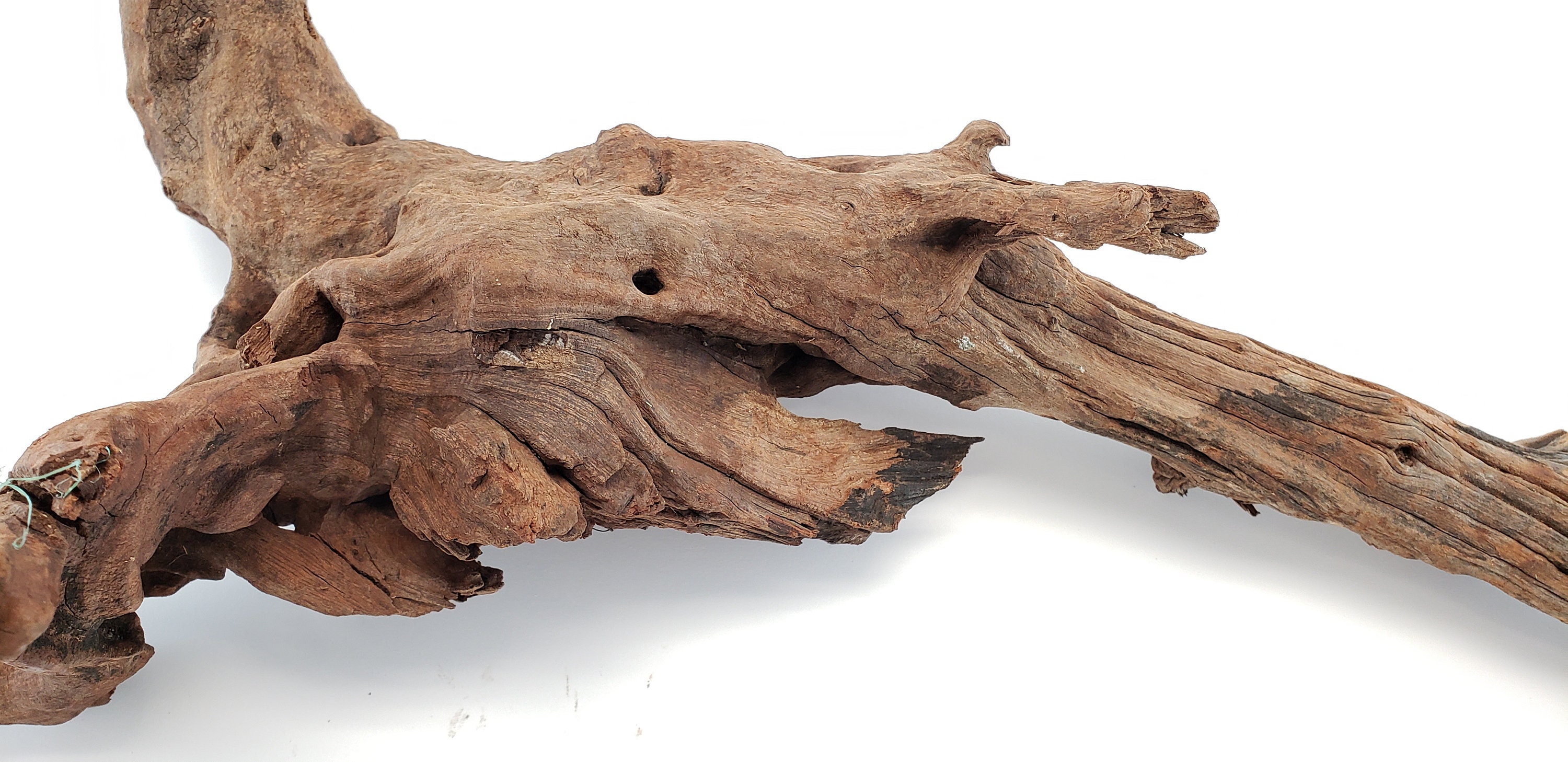 Natural Driftwood Decoration 15" to 20" - Etsy