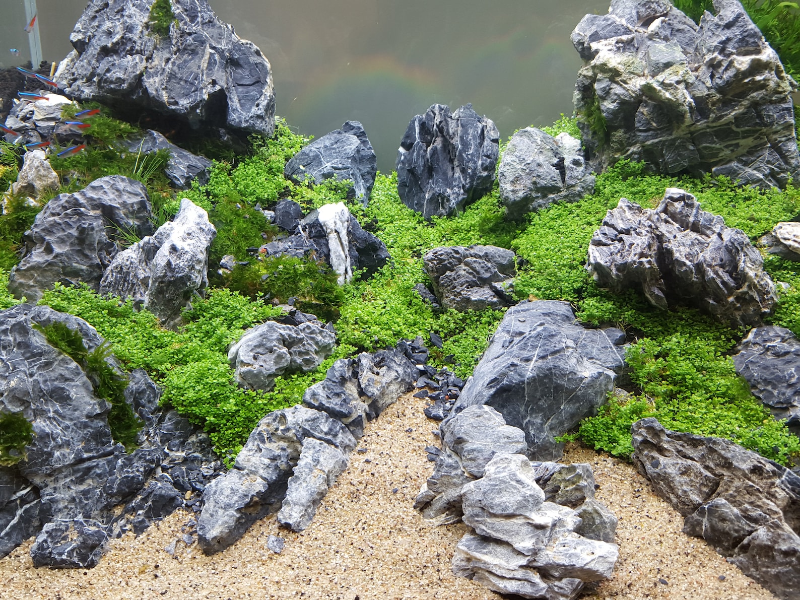 Seiryu Stone Freshwater Mixed Sizes by the Lb Aquarium Aquascaping ...