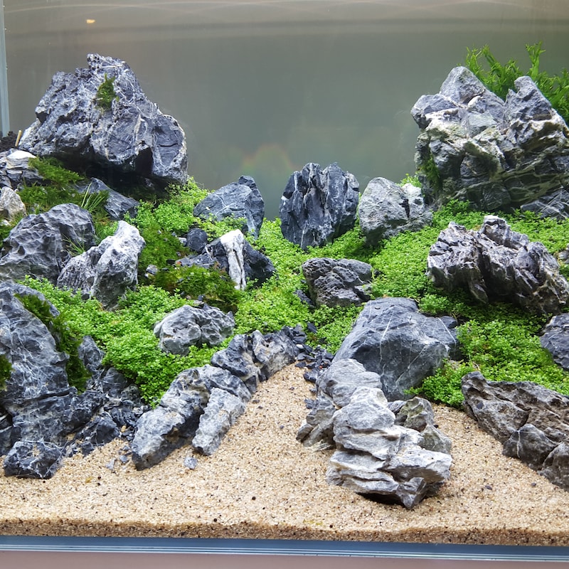 Stone Fishtank - Etsy