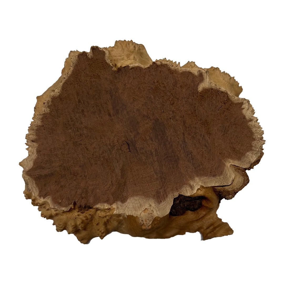 Australian Red Mallee Burl Cookies/clocks 9 X 9 X 1-1/4 2.5 Lbs Free ...