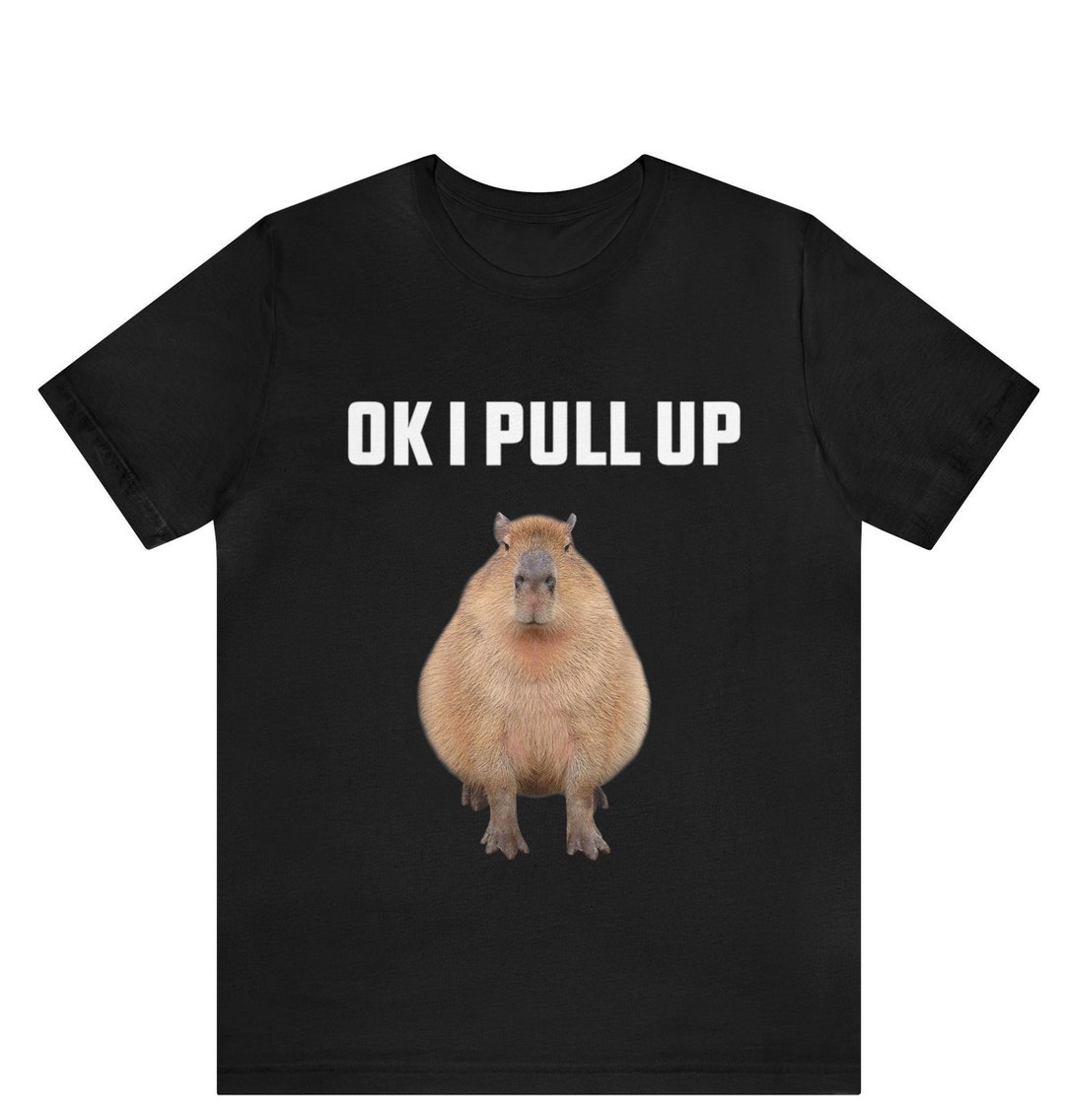 OK I Pull up Capybara Funny Meme T Shirt Ok I Pull up ,capybara Sarcastic Funny Meme T-shirt, OK ...