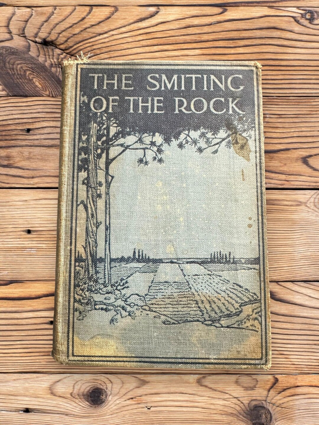 Rare Antique George Palmer Putnam Hard Cover Book 1918 the Smiting of ...