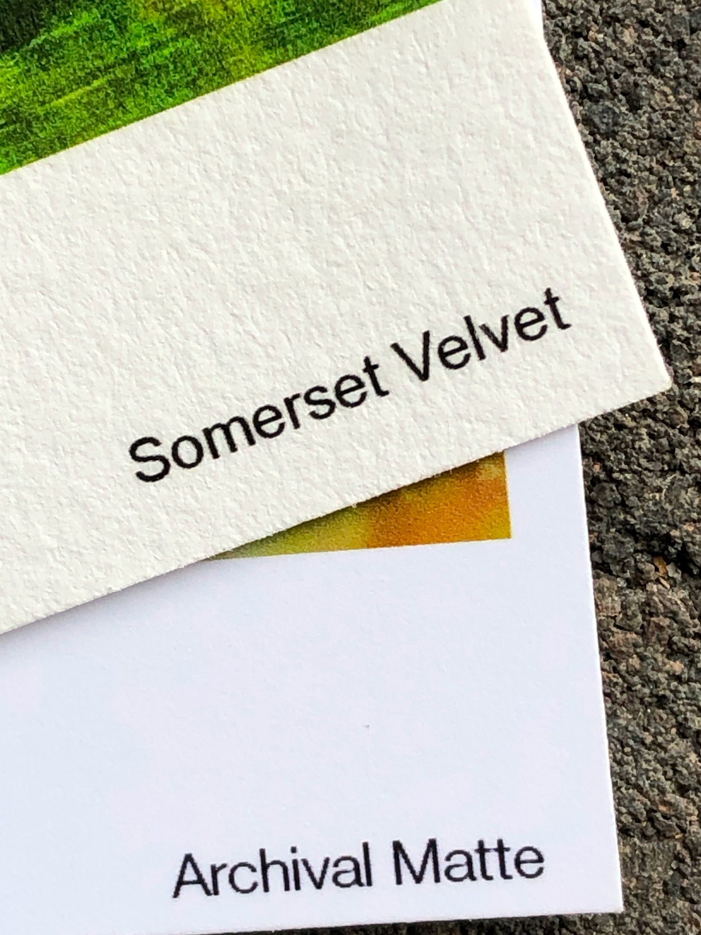 Lucky Yellow Shell— Archival Giclee Print//lighthouse//lucky Rock//sea ...