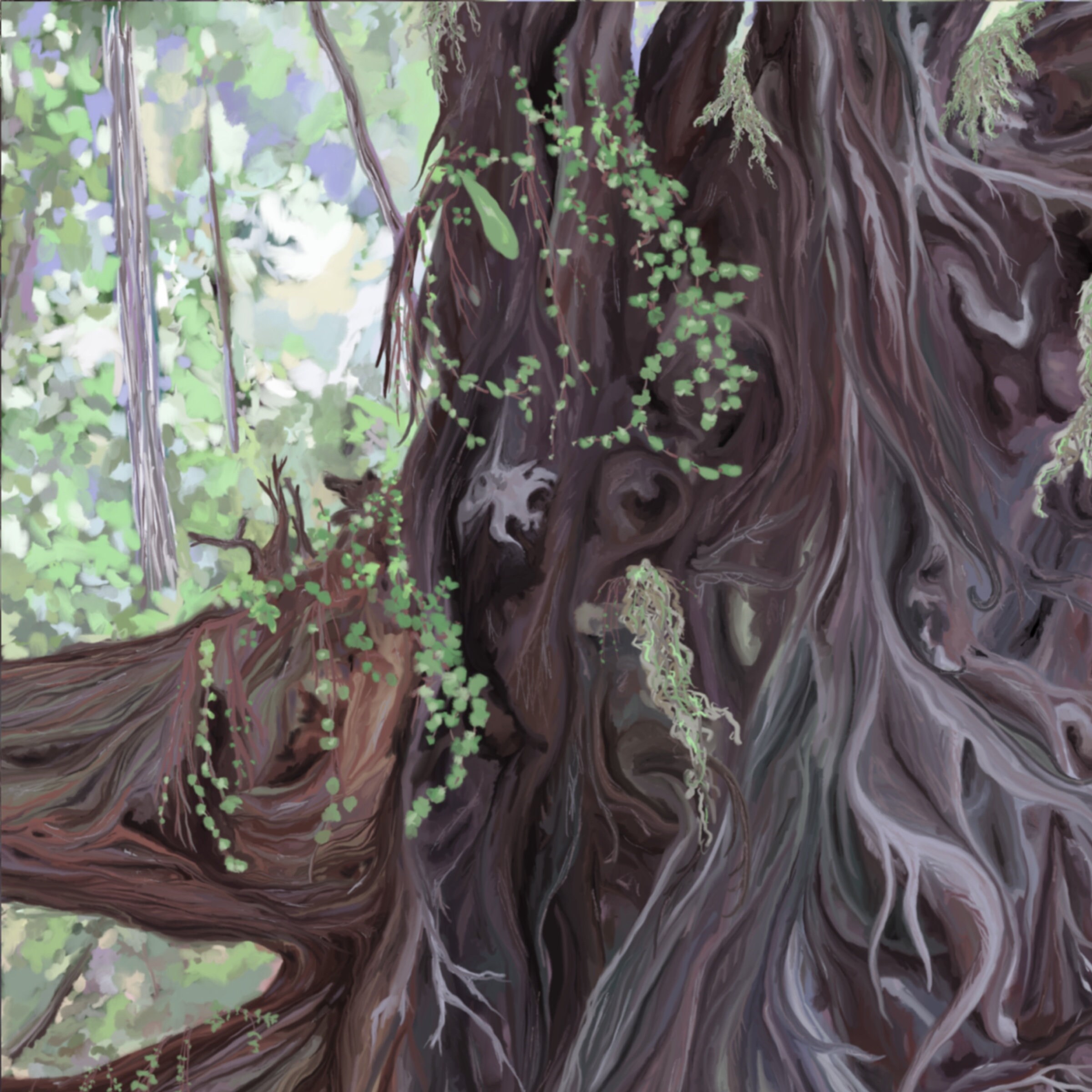 Uprooted Redwood Tree Illustration Giclee Art Print Redwood - Etsy