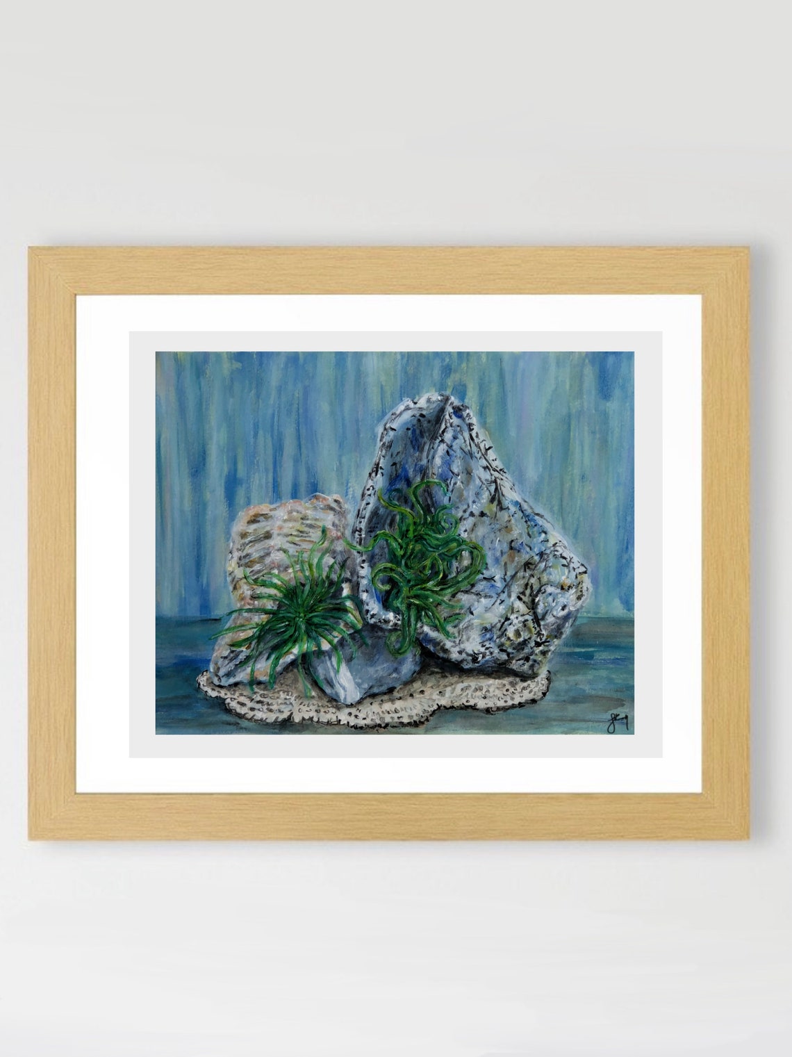 Shell Study Set of 4—giclee Prints//shell Paintings//houseplants//sea ...