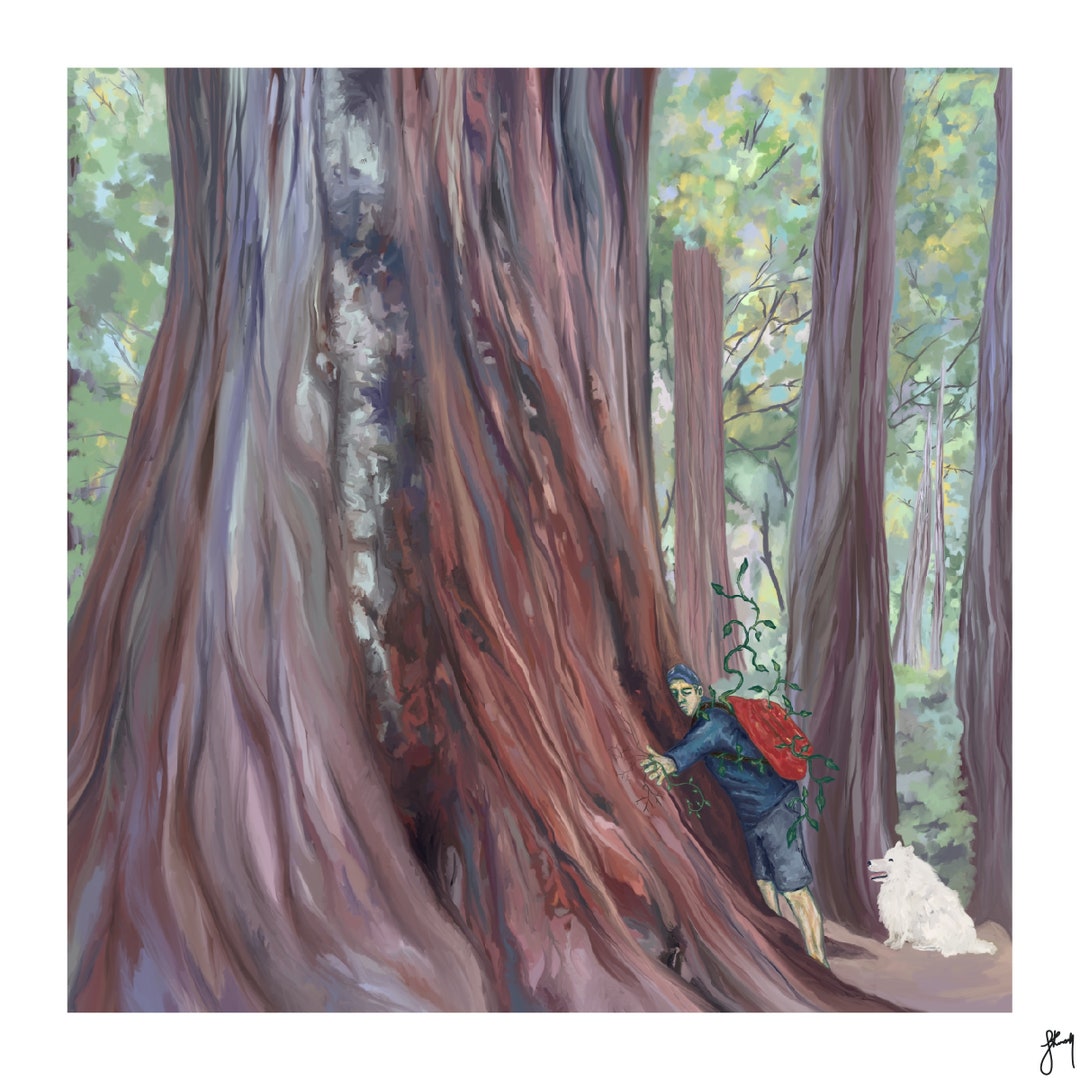 Redwood Forest Tree Hugger Illustration Giclee Art Print, Whimsical ...