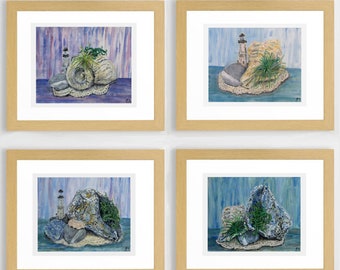 Shell Study Art - Etsy