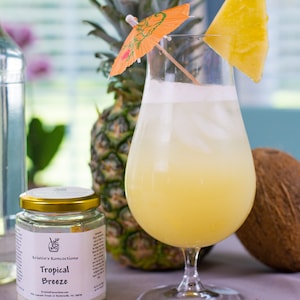 Tropical Cocktail Infusion Kit: Summer Drink Mix Set - Etsy