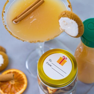 STOCKING STUFFER COCKTAIL Kit: Fun & Easy Holiday Mixology, Delicious ...