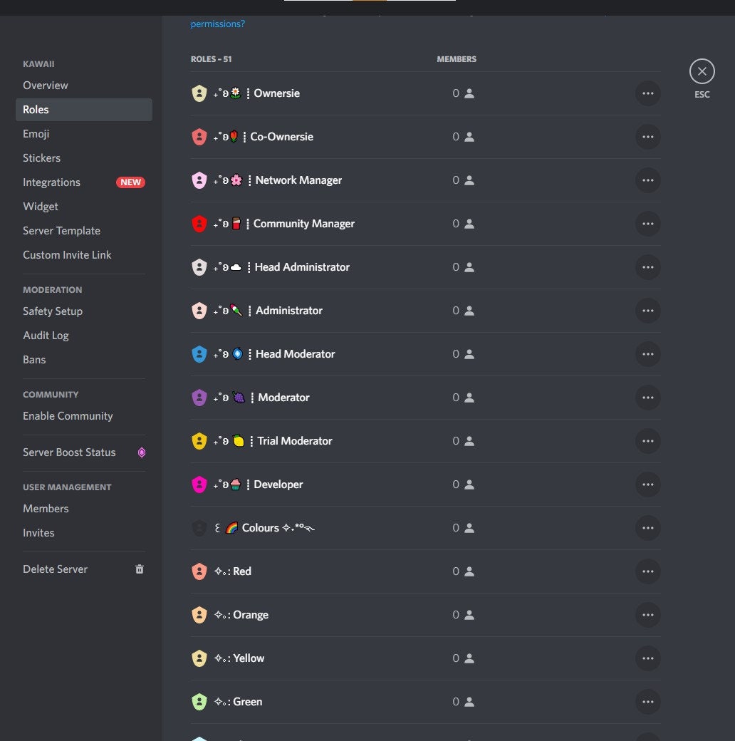Cute Kawaii Aesthetic Discord Server Template - Etsy