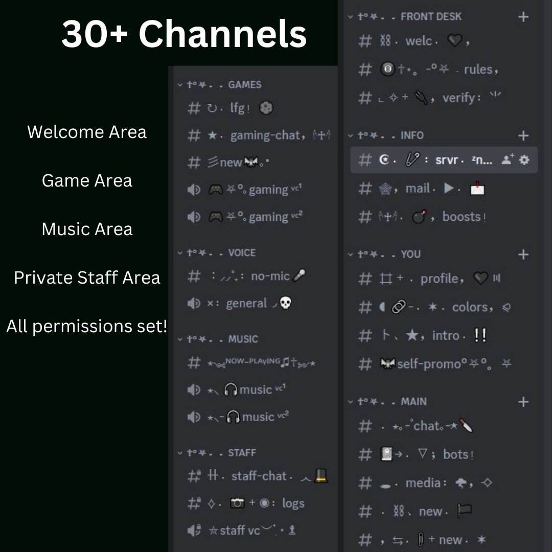 Black Aesthetic Streamer & Gaming Discord Server Template - Great for ...