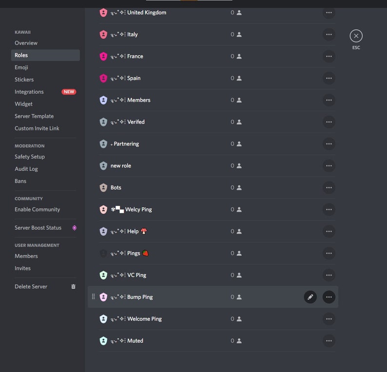 Cute Kawaii Aesthetic Discord Server Template - Etsy