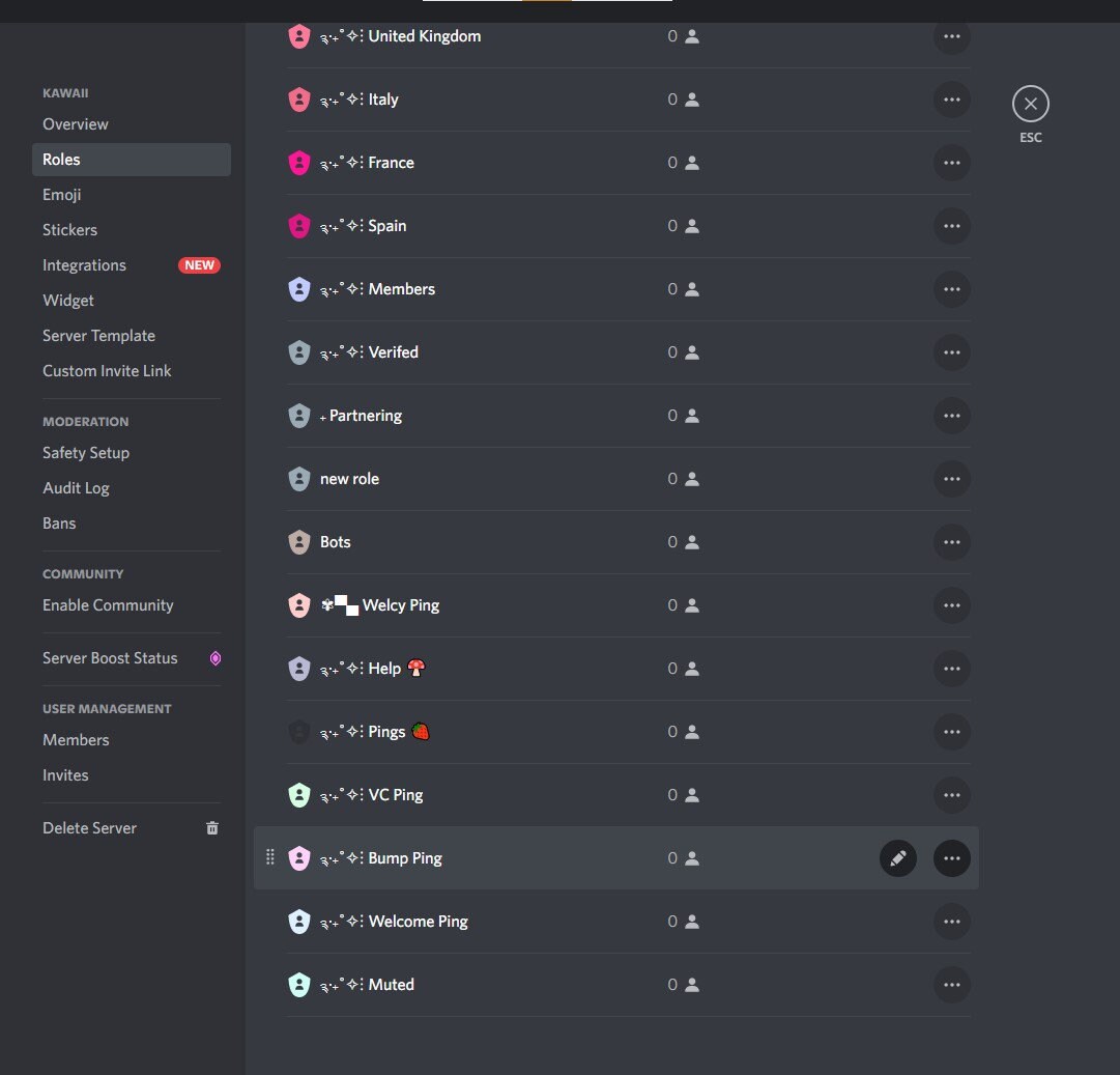 Cute Kawaii Aesthetic Discord Server Template - Etsy
