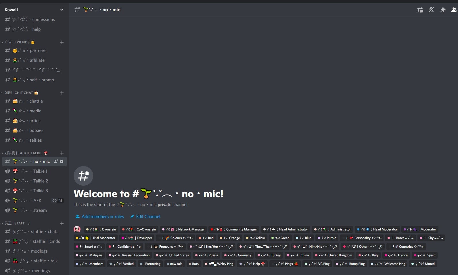 Cute Kawaii Aesthetic Discord Server Template - Etsy