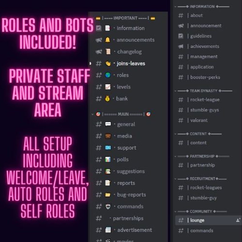 CUSTOM Discord Streamer's Community Server - Etsy