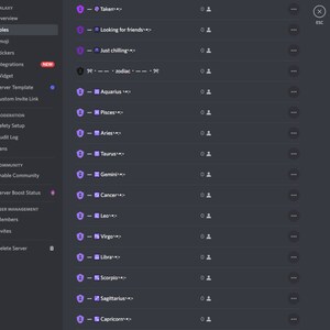 CUSTOM Discord Gaming Streamer Community Server | Professional Gaming ...