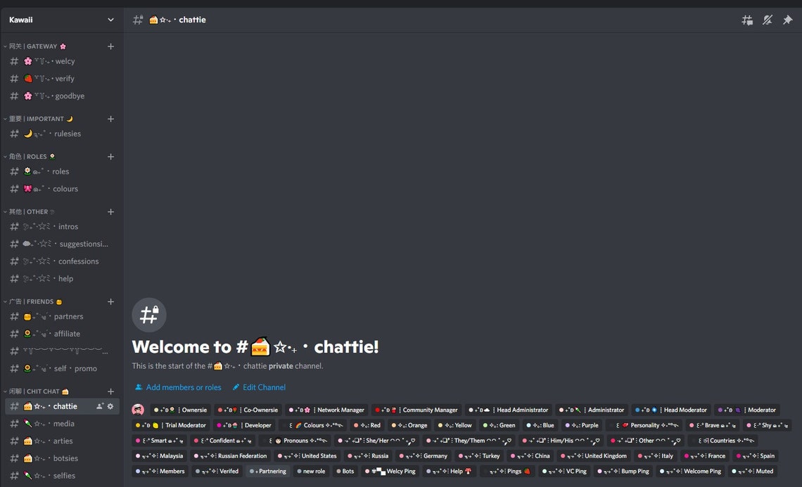 Cute Kawaii Aesthetic Discord Server Template - Etsy