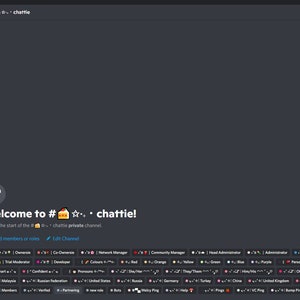 Cute Kawaii Aesthetic Discord Server Template - Etsy