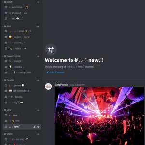 Streamer & Content Creator Discord Server Template - Night Club Theme ...