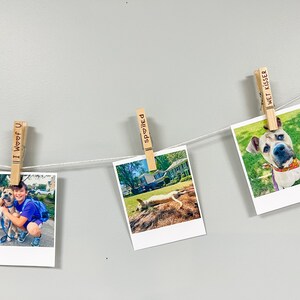Dog Lover Clothespin Photo Holder Cute Wall Decor for Dog - Etsy