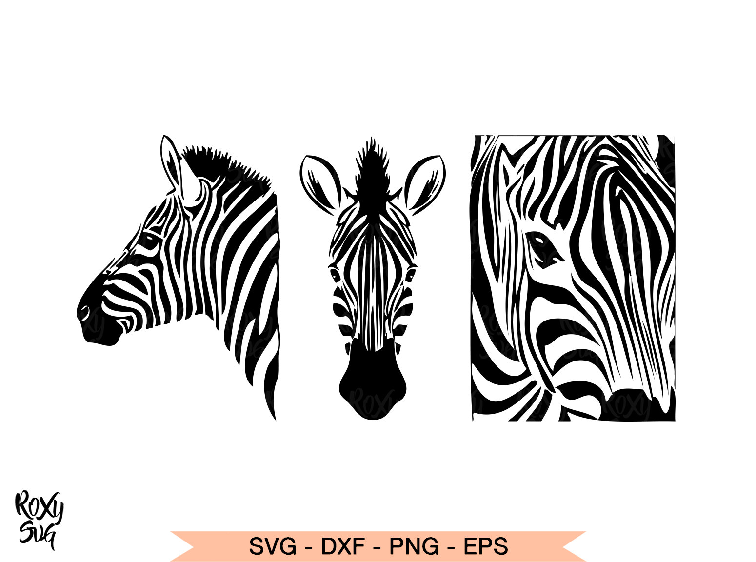 Zebra Vector Png