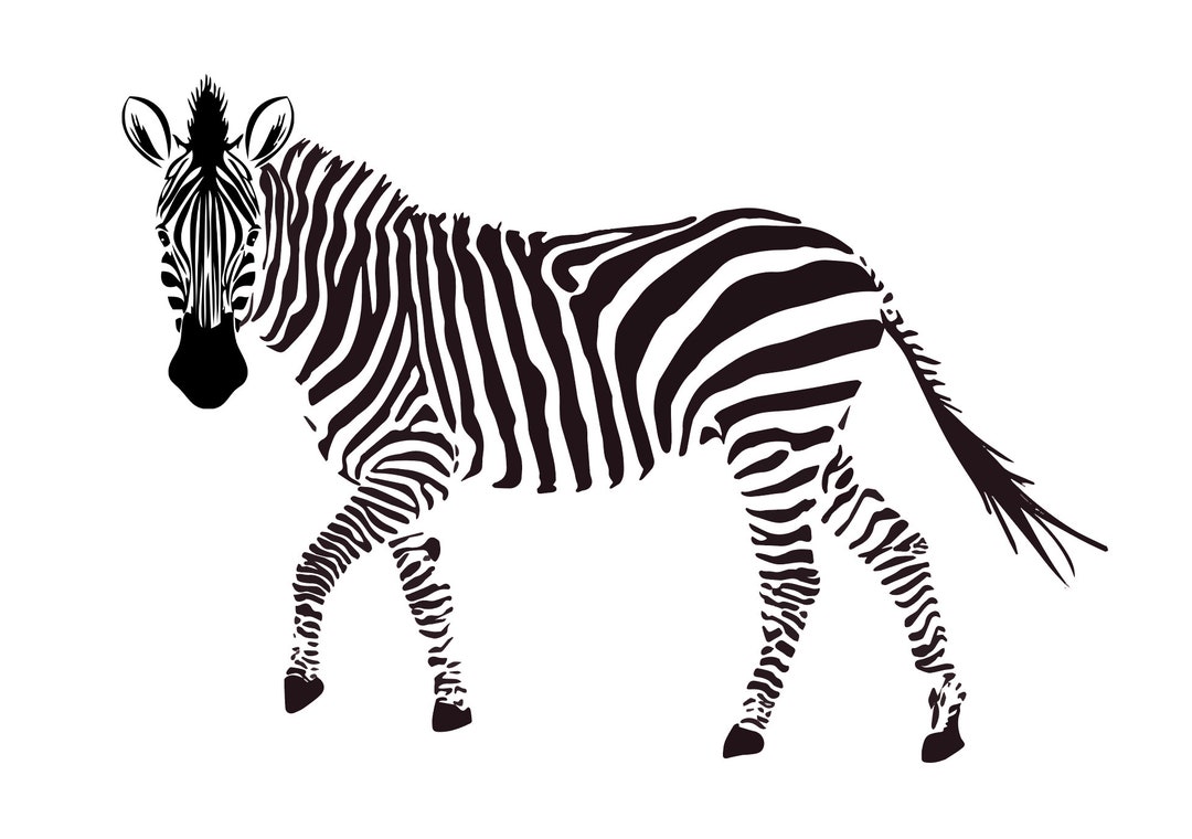Zebra Png Design - Etsy
