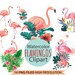 Flamingo SVG, Flamingo Clipart, Flamingo Silhouette, Zoo SVG, Beach Svg ...