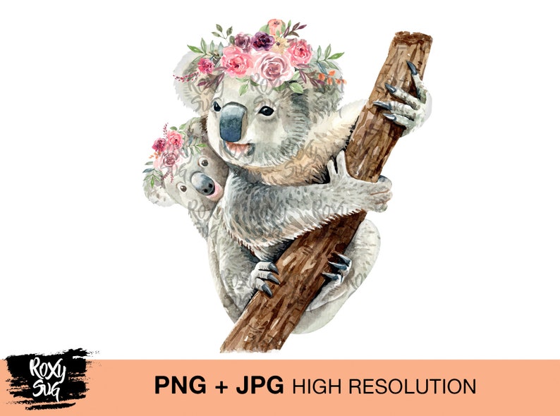 Koala Little Animals Watercolor Clipart Baby Koala - Etsy