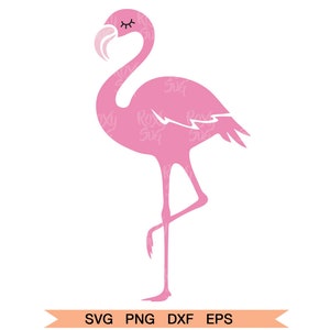 Flamingo SVG, Flamingo Clipart, Flamingo Silhouette, Zoo SVG, Beach Svg ...