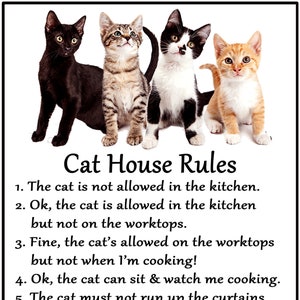 Cat Lovers Gift Cat House Rules Large Flexible Fridge Magnet Approx: 6 ...