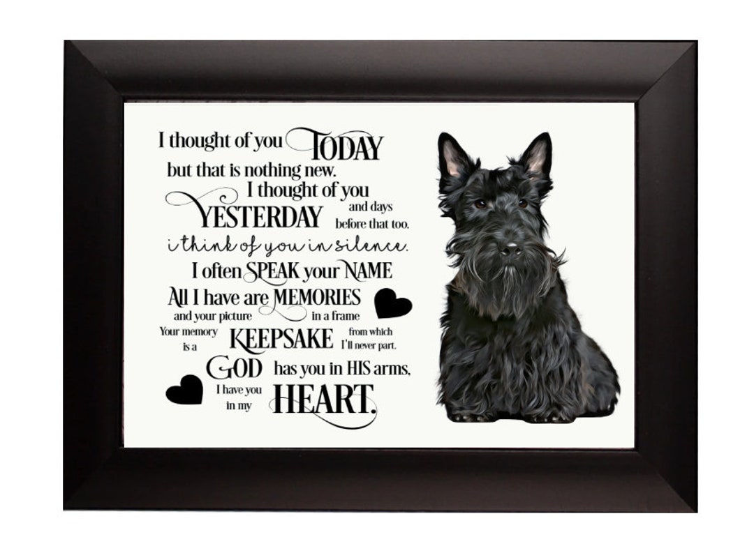Scottish Terrier Scottie Dog RIP Photo Frame 6 X 4 Inches I Thought of ...