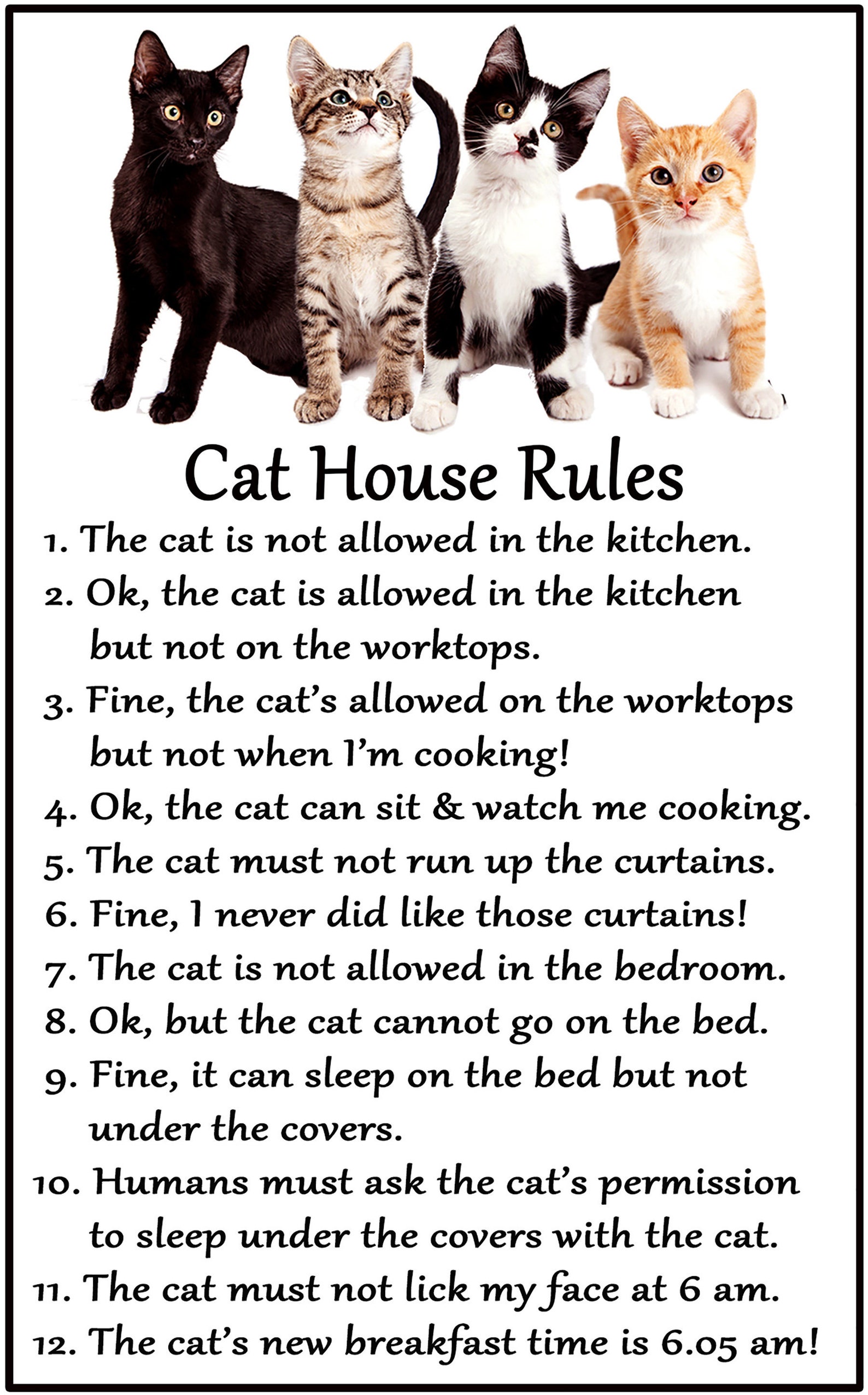 Cat Lovers Gift Cat House Rules Large Flexible Fridge Magnet Approx: 6 ...