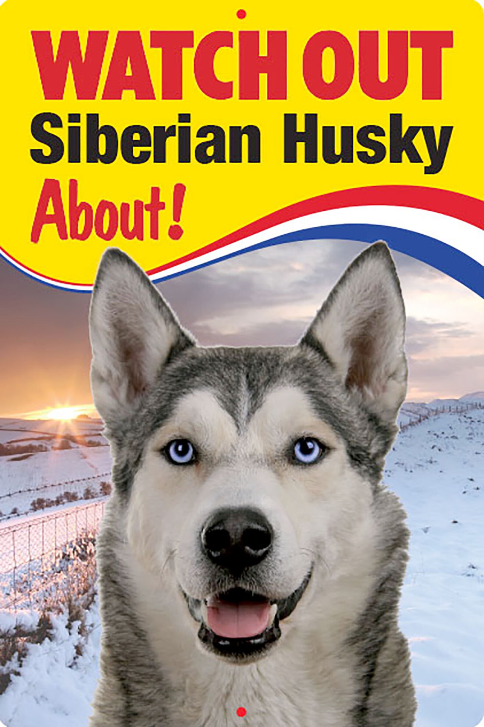 Siberian Husky About Dog Security Sign 9 X 6 Inches Watch Out Sign With ...