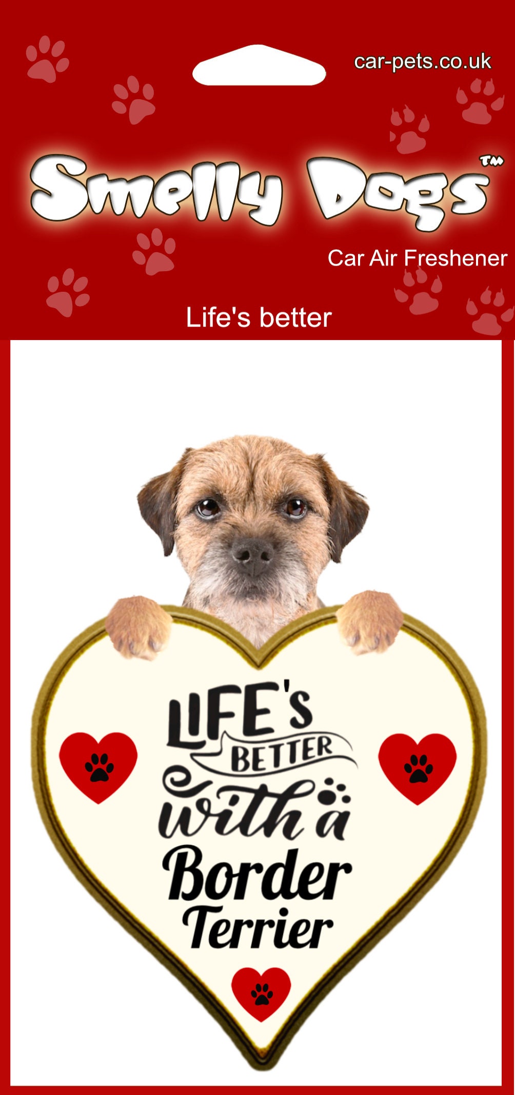 Are Border Terriers Smelly Dogs