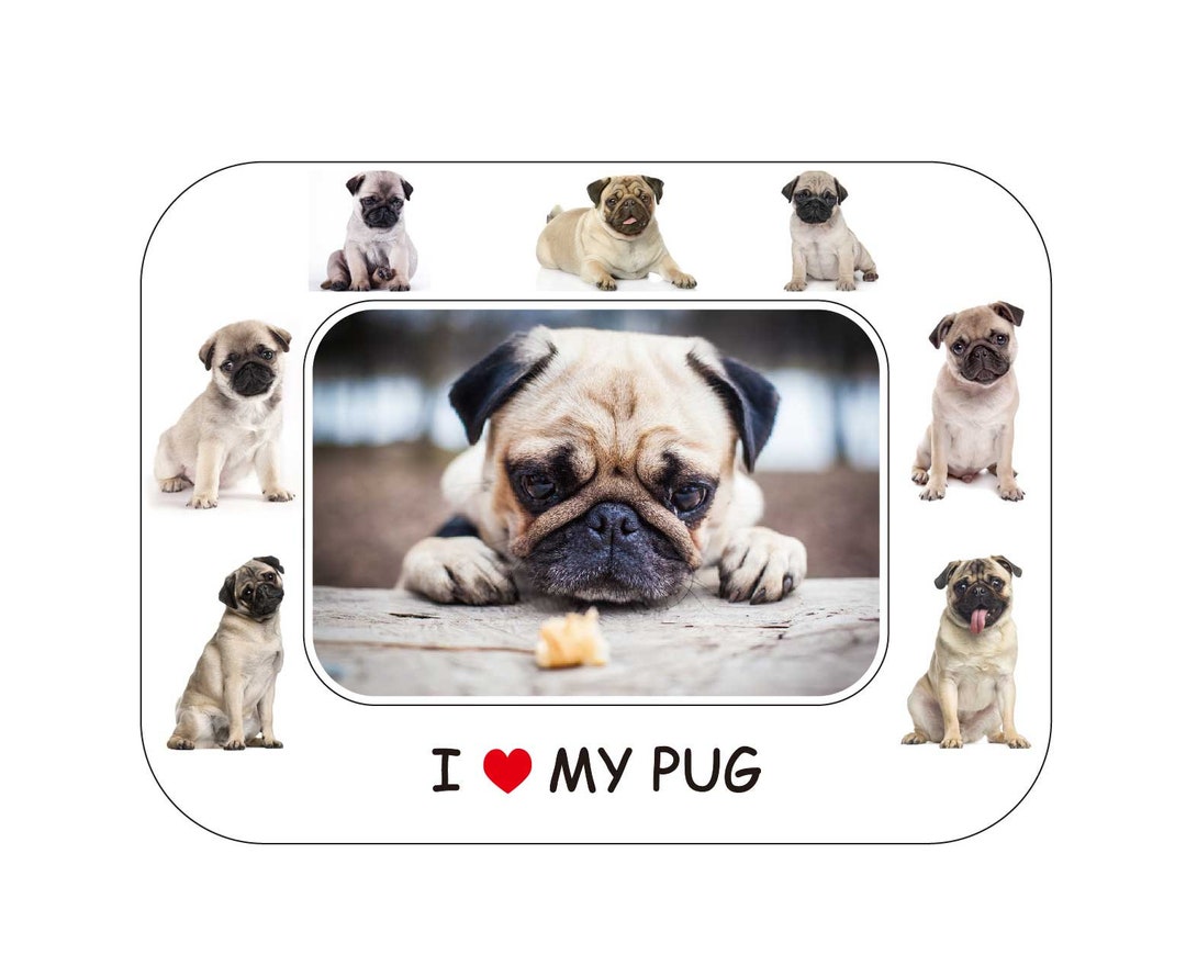 Pug Dog Gift Beautiful 8 X 6 Magnetic Photo Frame/flexible - Etsy