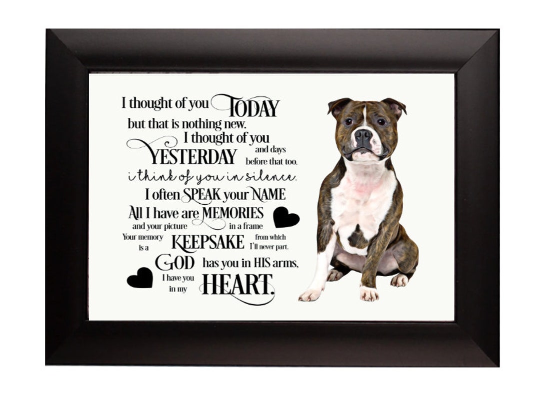 Staffy Brindle Dog RIP Photo Frame 6 X 4 Inches I Thought of You Today ...
