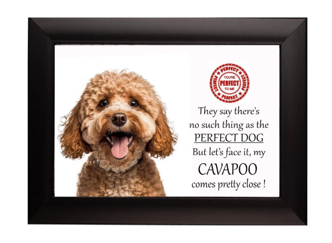 Cavapoo Dog Photo Frame 6 X 4 Inches Perfect Dog Fun Novelty Gift - Etsy