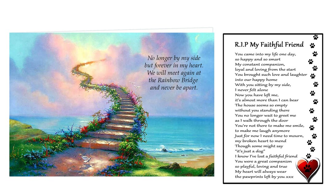 DOG Rainbow Bridge Bereavement Gift A5 Card With Dog RIP Magnet RIP ...