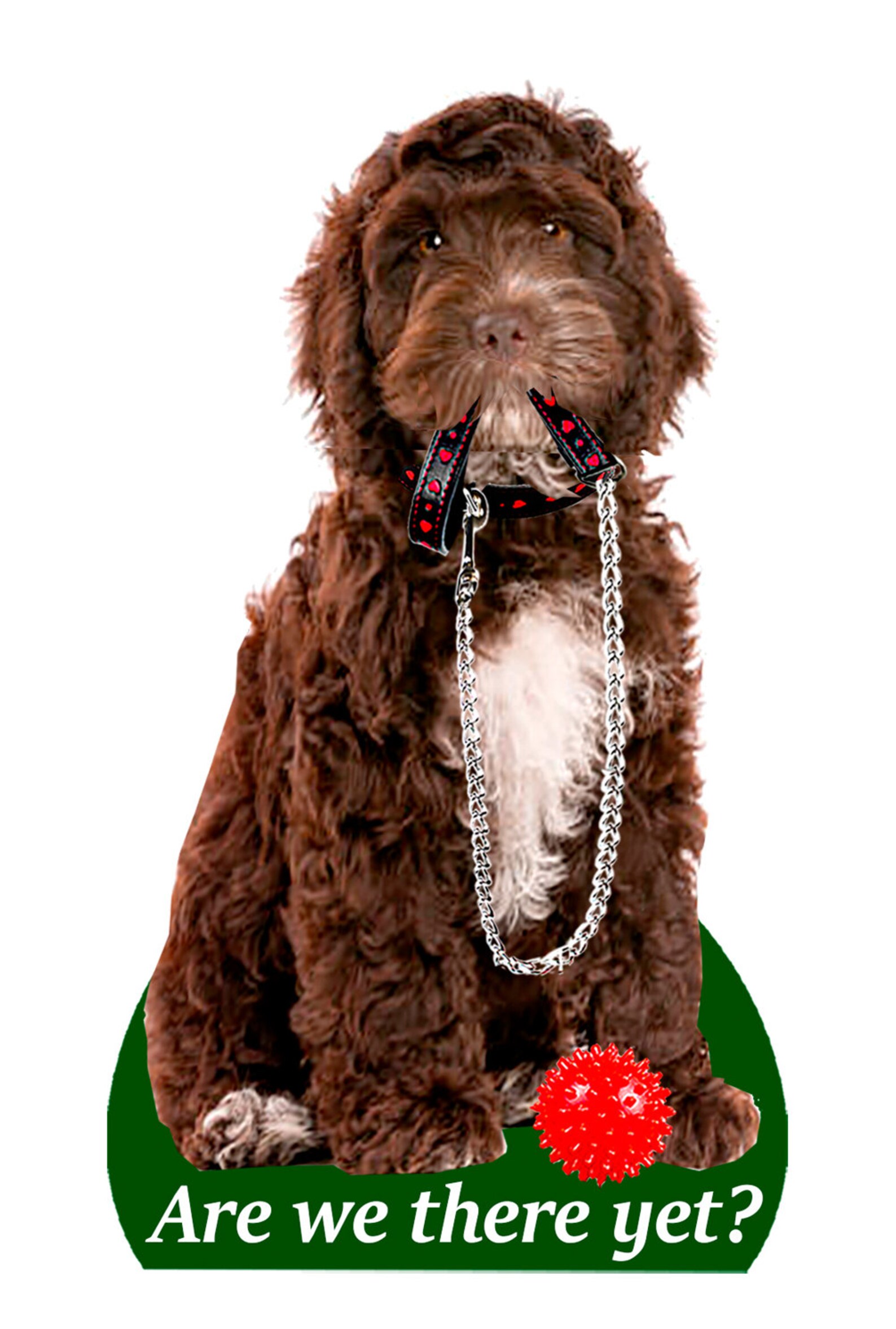 Cockapoo Chocolate Tuxedo Dog Lover Gift Car Air - Etsy