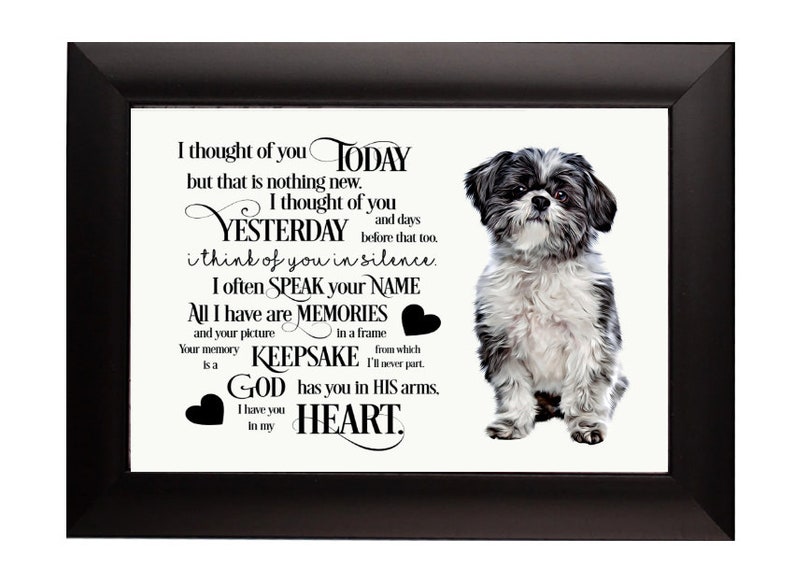 Shih Tzu Black and White Dog RIP Photo Frame 6 X 4 Inches I Thought of ...