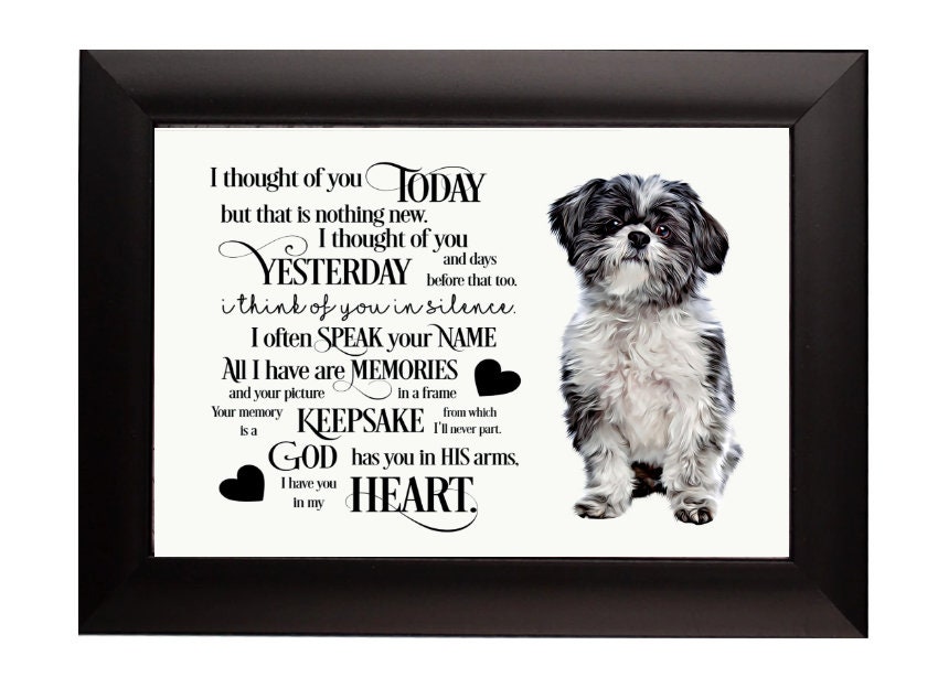 Shih Tzu Black and White Dog RIP Photo Frame 6 X 4 Inches I Thought of ...